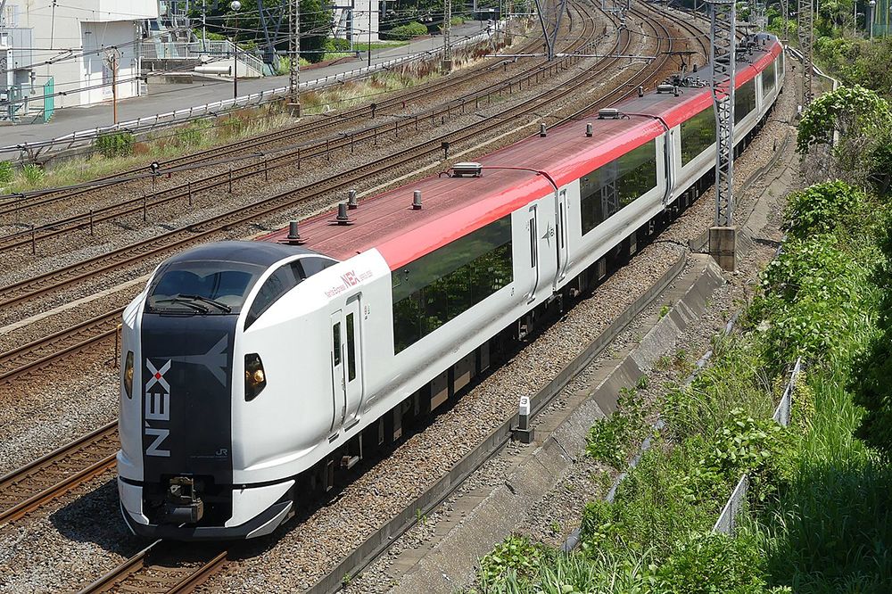 โตเกียว ซากุระ