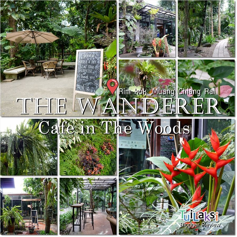 The Wanderer - เดอะ วอนเดอเรอร์ เชียงราย คาเฟ่ ฟิลรักป่ารักษ์ธรรมชาติ