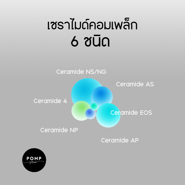 เซราไมด์ 6 ชนิด สารสกินแคร์ที่ขาดไม่ได้