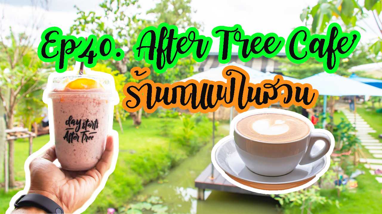 BlogGang.com : : สมาชิกหมายเลข 5499026 : After tree cafe ร้านกาแฟ ...