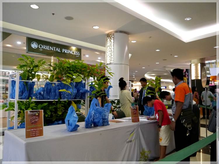 Bloggang.com : Tui Laksi : ::Future Park International Coffee & Tea ...