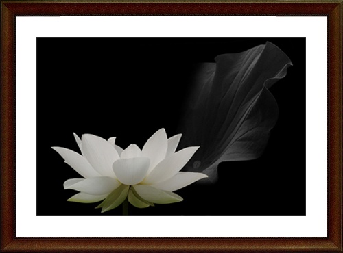 xoxoxoxo จิบชาอุ่นๆ รับลมหนาวกันดีกว่า oxoxoxox