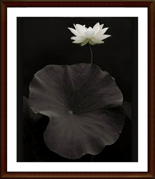 xoxoxoxo จิบชาอุ่นๆ รับลมหนาวกันดีกว่า oxoxoxox