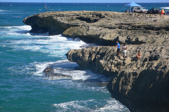 Just one wave....turtle and me