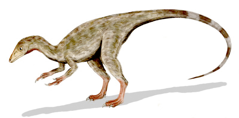 BlogGang.com : : sirivinit : คอมซอกนาทัส (Compsognathus) .. ไดโนเสาร์ ...