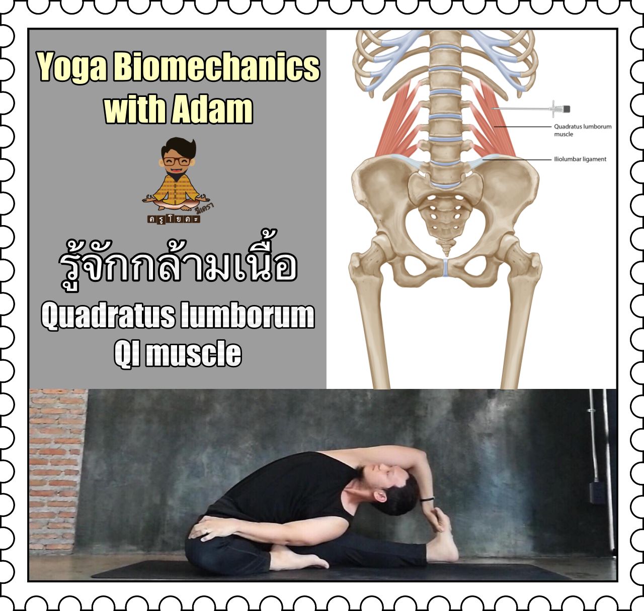 Yoga Biomechanics with Adam ตอน ความลับของ Parivrtta Janu Sirsasana