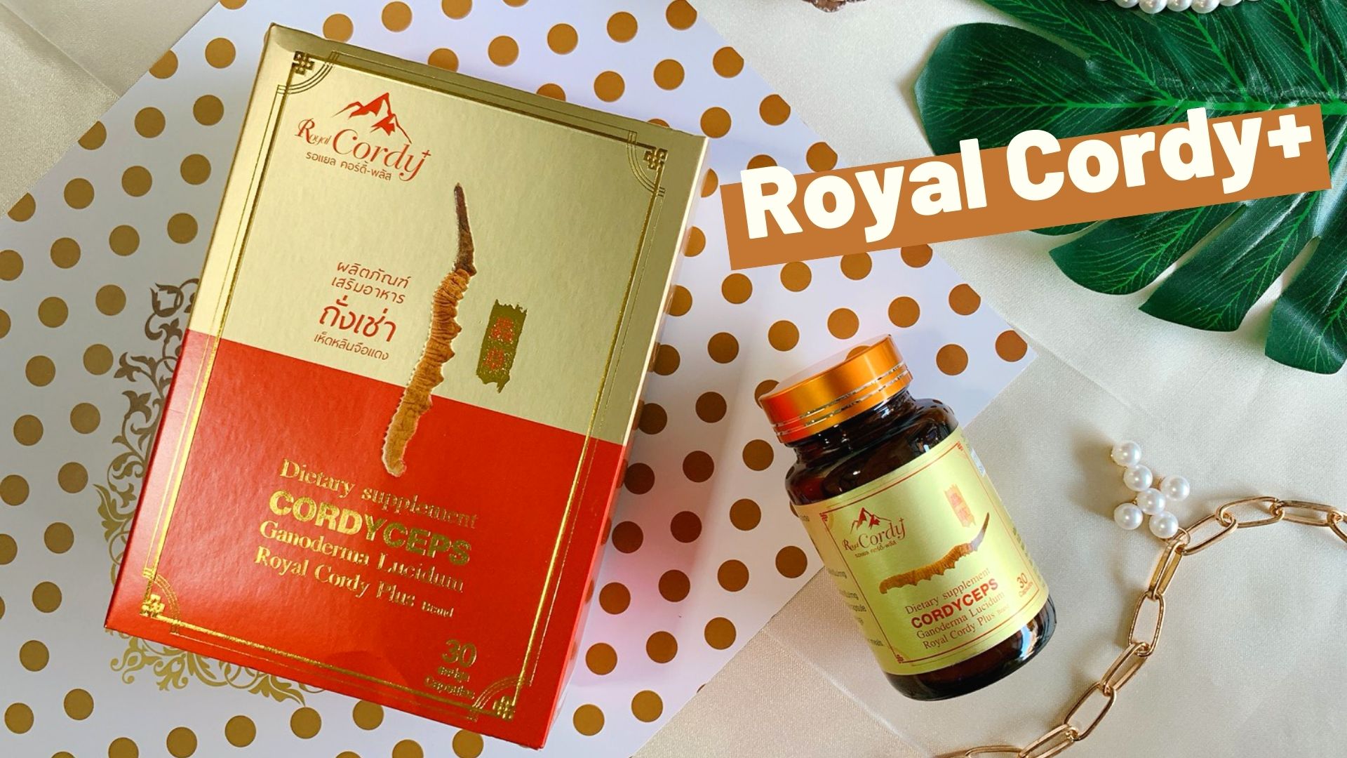 ส่งมอบสุขภาพที่ดีด้วย "ถั่งเช่าแท้ Royal Cordy Plus" เป็นของขวัญสุดพิเศษให้กับคนที่เรารัก