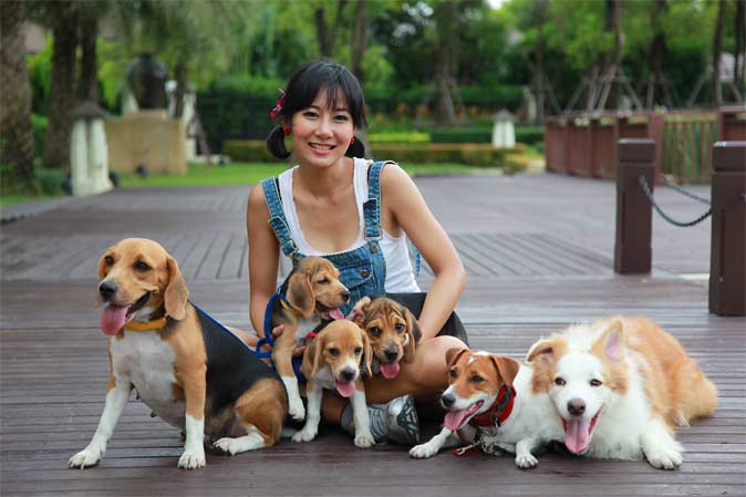 Mastering the walk ; 6 dogs walking together ไม่ยากอย่างที่คิด