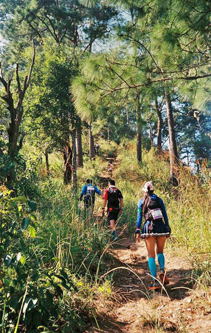 JOY RUNNING; 100km Pong Yaeng Trail 2017 (PYT100)