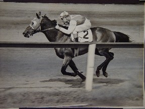 BlogGang.com : : bayou - SEABISCUIT